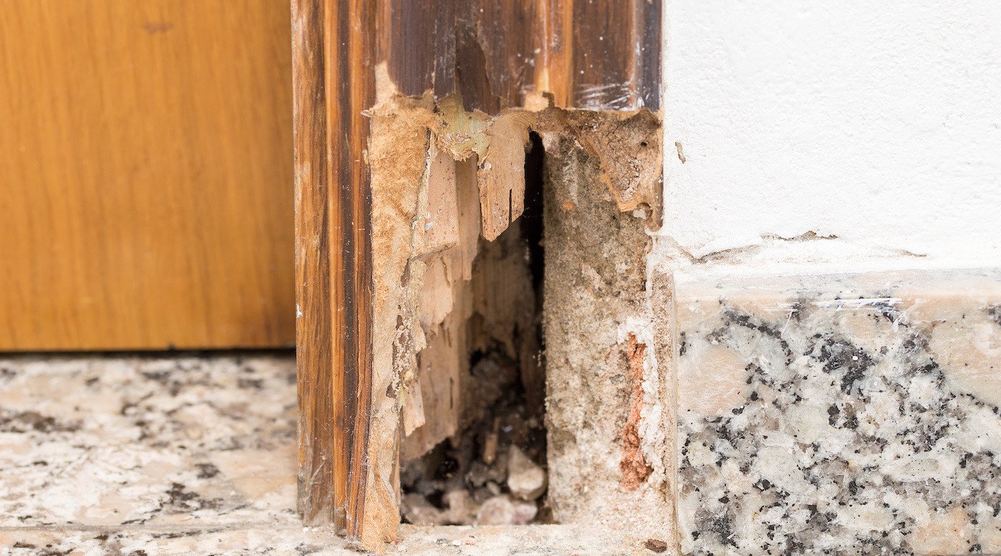 How Do You Prevent Wood Rot on Doors?
