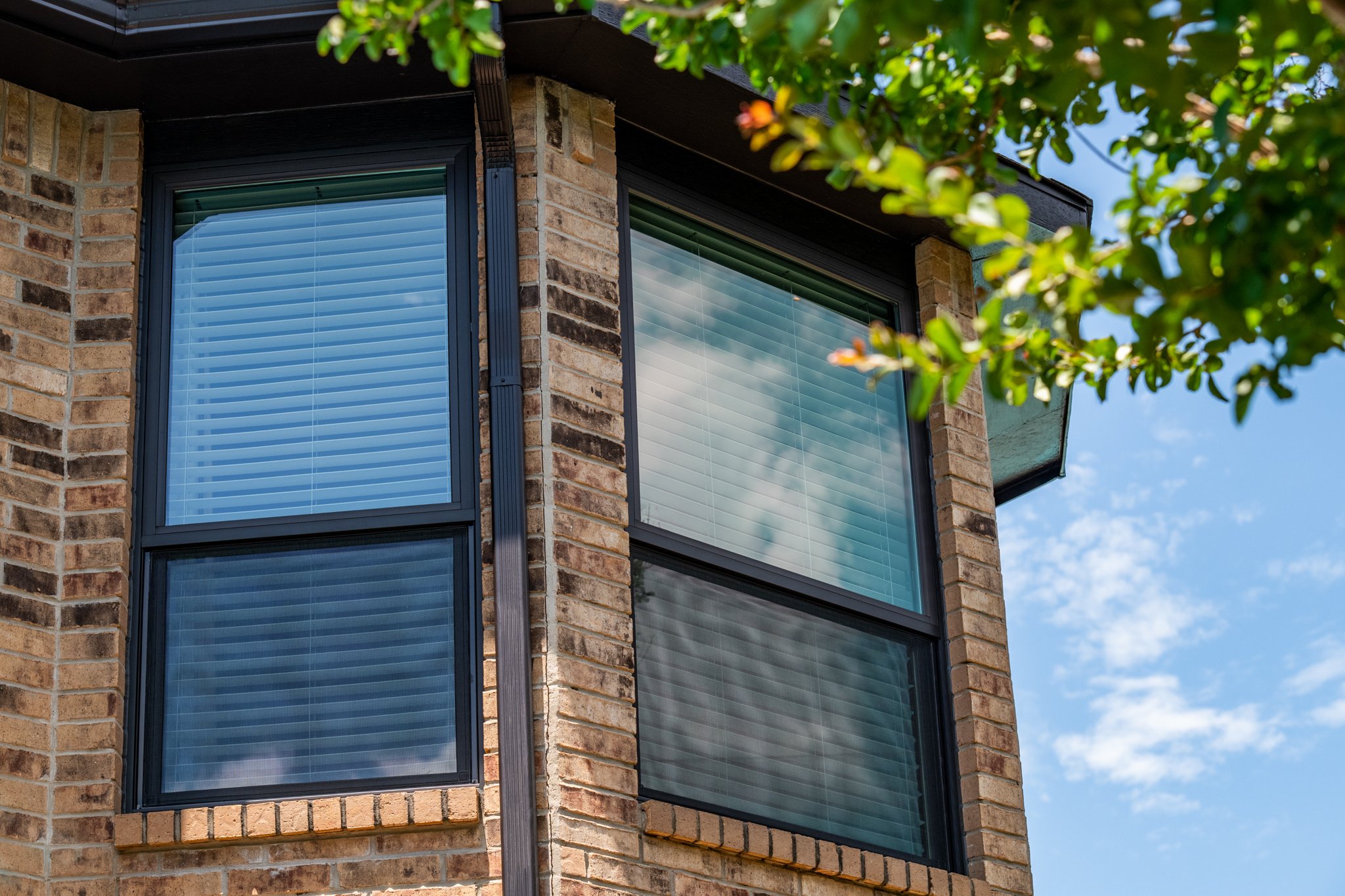 Andersen 100 Series Windows with Dark Bronze Frame