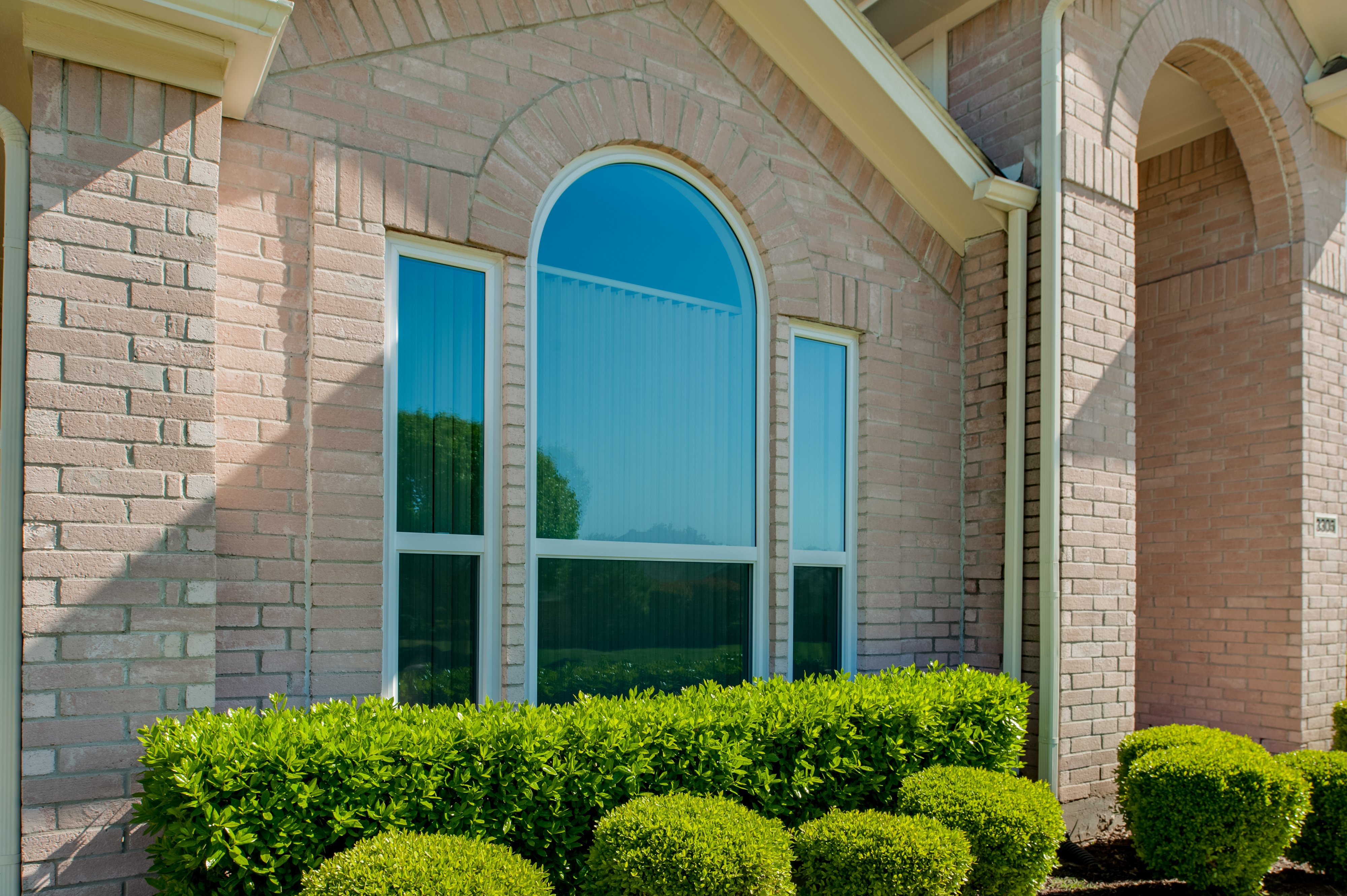 Brennan Solar Bear Vinyl Windows