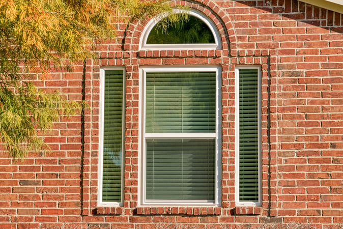 Rear Windows